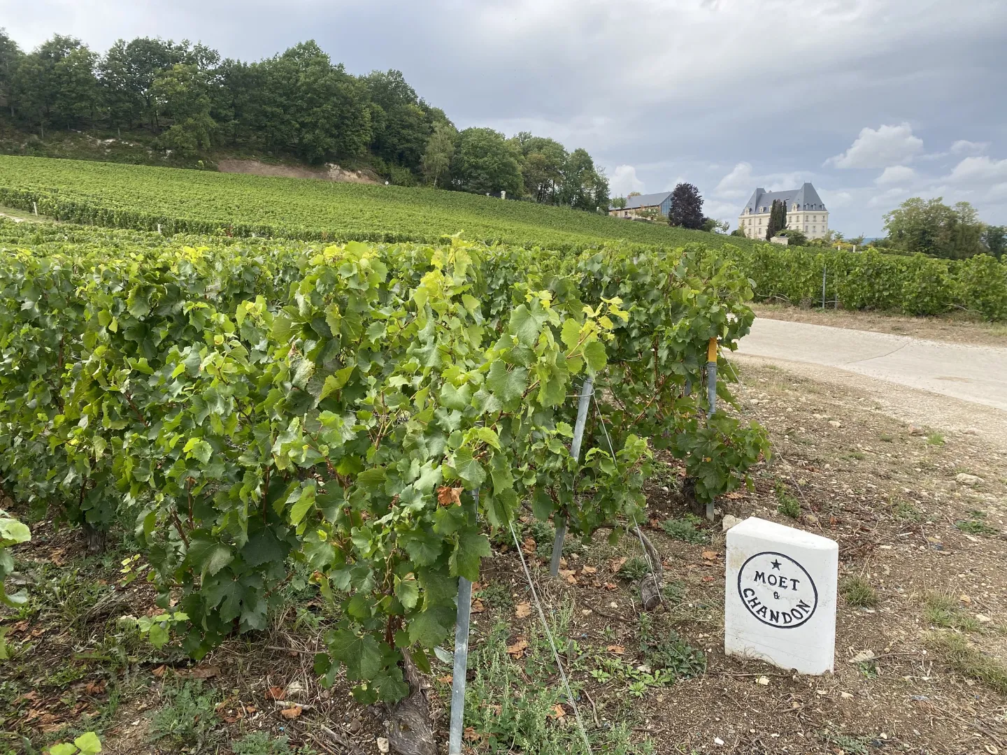 4 days cycling in Champagne with Le Vélo Voyageur